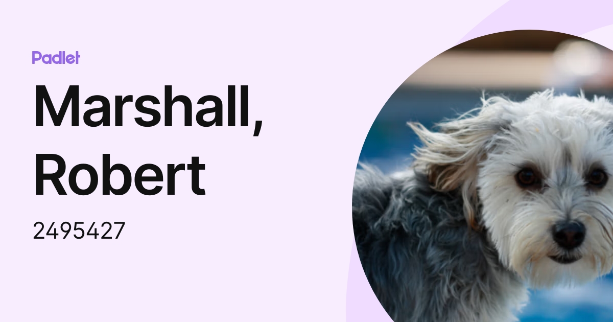 Marshall, Robert (2495427) profile | Padlet