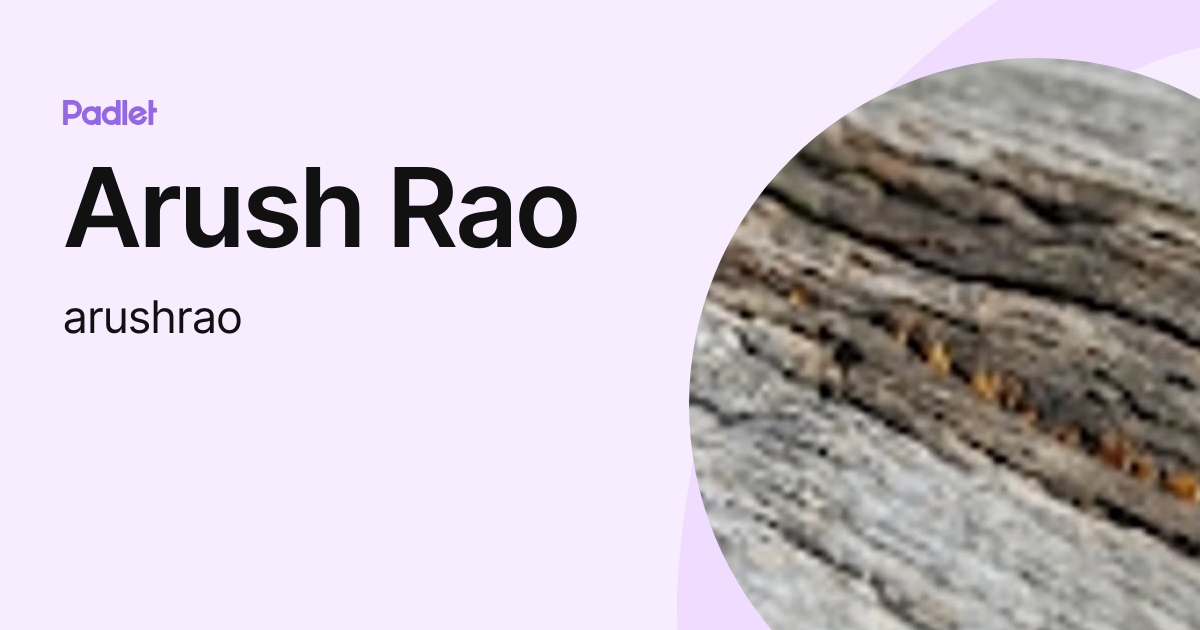 Arush Rao (arushrao) profile | Padlet