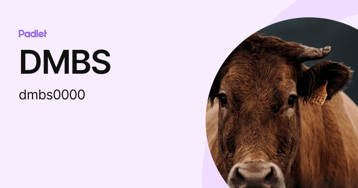 DMBS (dmbs0000) profile | Padlet