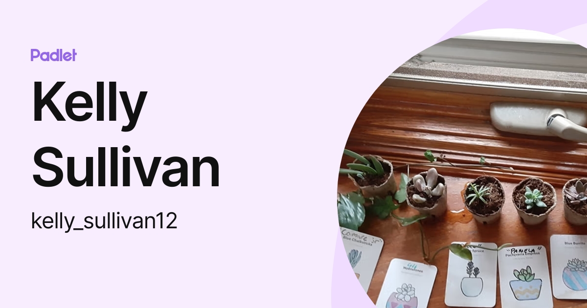 Kelly Sullivan (kelly_sullivan12) profile | Padlet