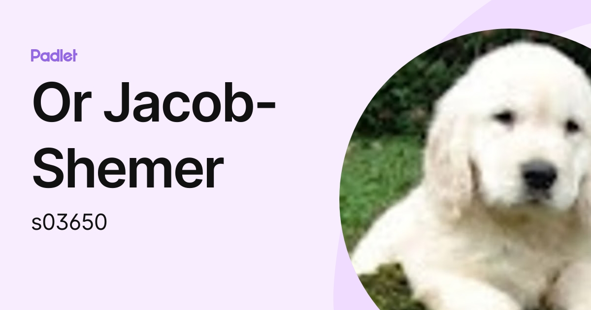 Or Jacob-Shemer (s03650) profile | Padlet