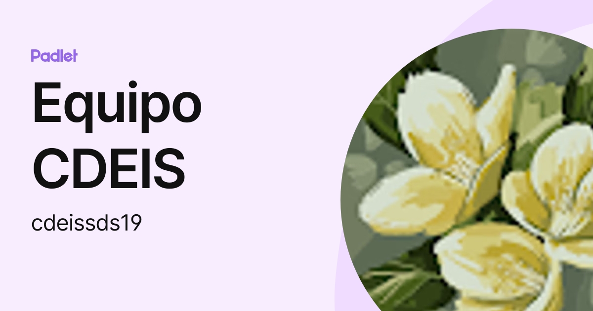 Equipo CDEIS (cdeissds19) profile | Padlet