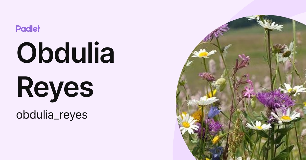 Obdulia Reyes (obdulia_reyes) profile | Padlet