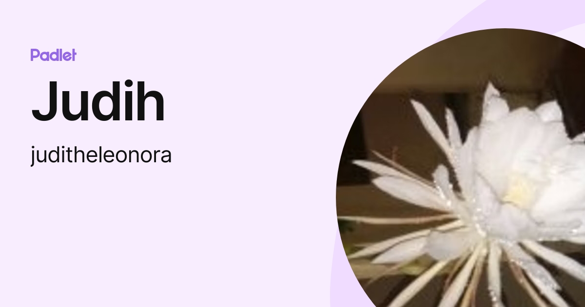Judih (juditheleonora) profile | Padlet