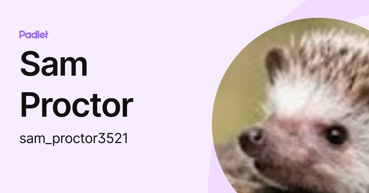 Sam Proctor (sam_proctor3521) profile | Padlet