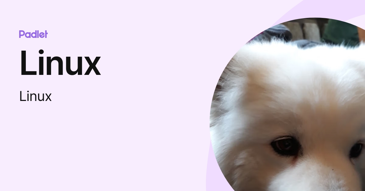 Linux (Linux) profile | Padlet
