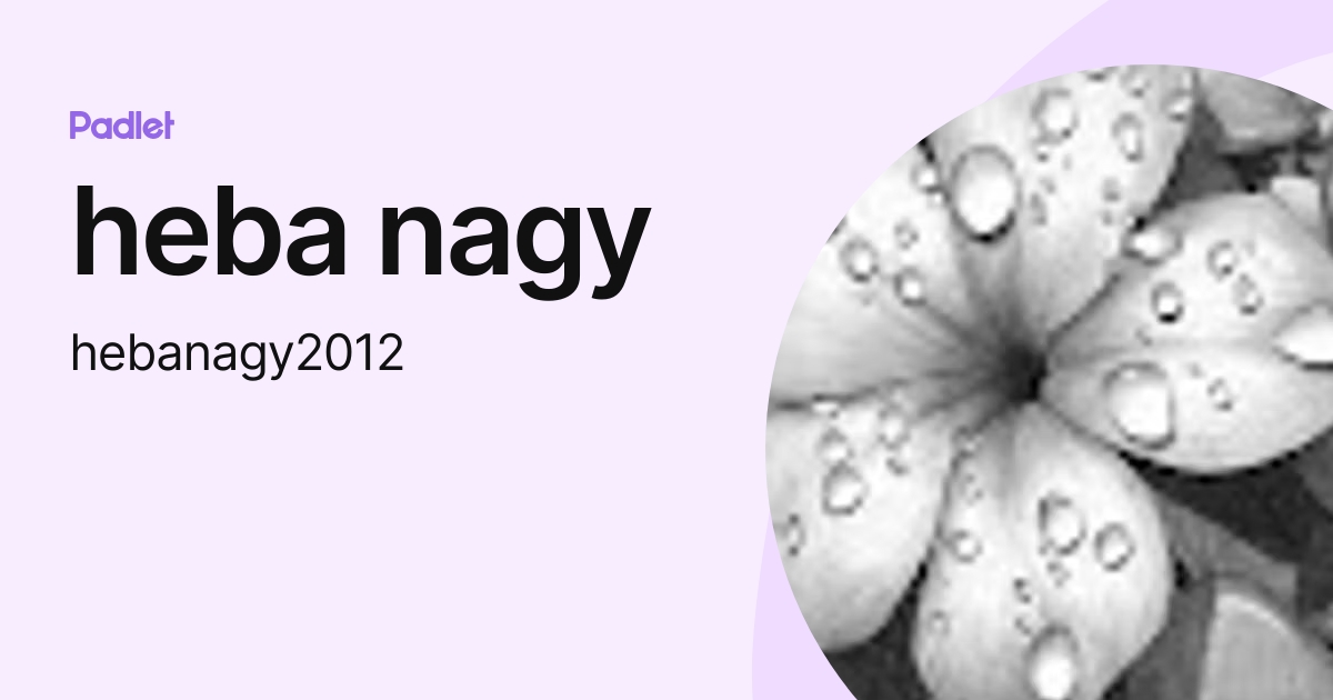 heba nagy (hebanagy2012) profile | Padlet