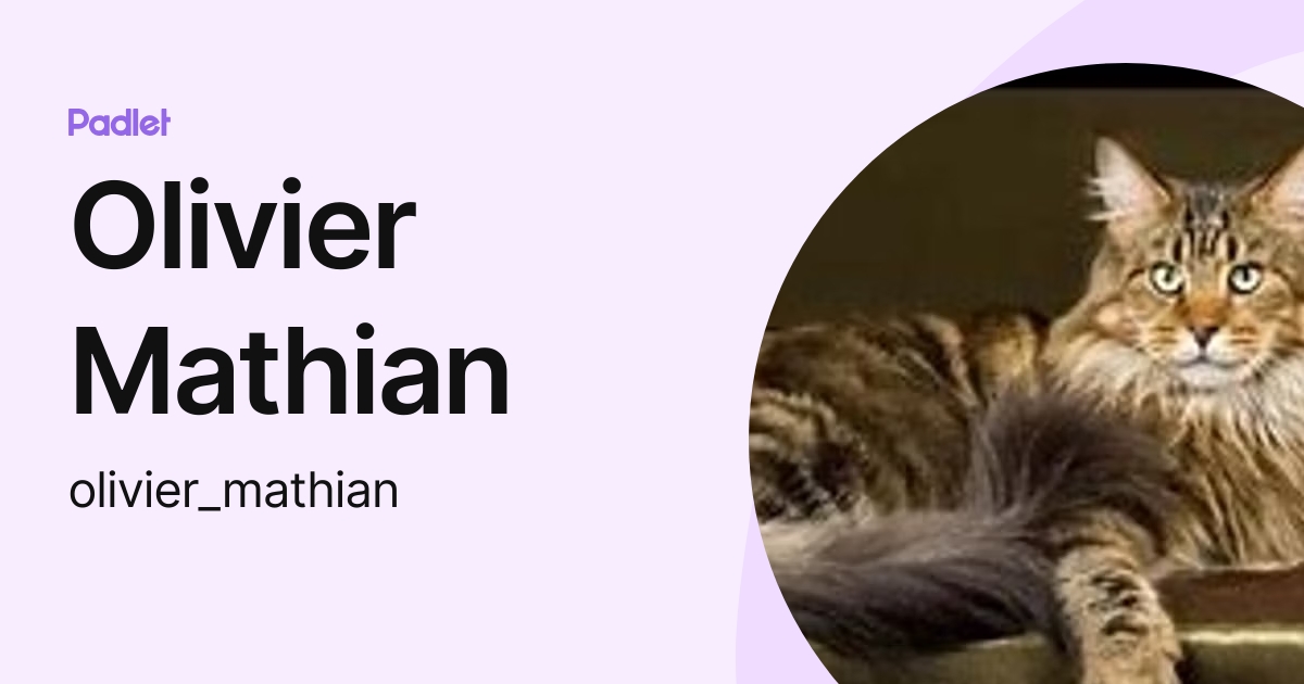 Olivier Mathian (olivier_mathian) profile | Padlet