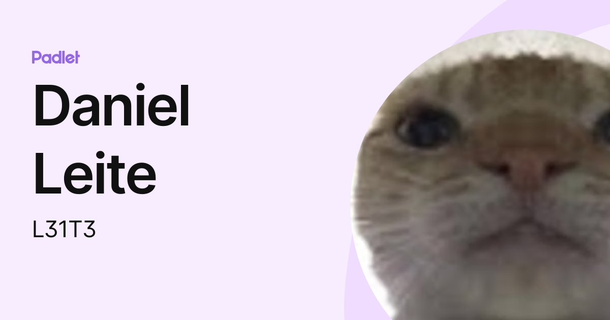 Daniel Leite (L31T3) profile | Padlet