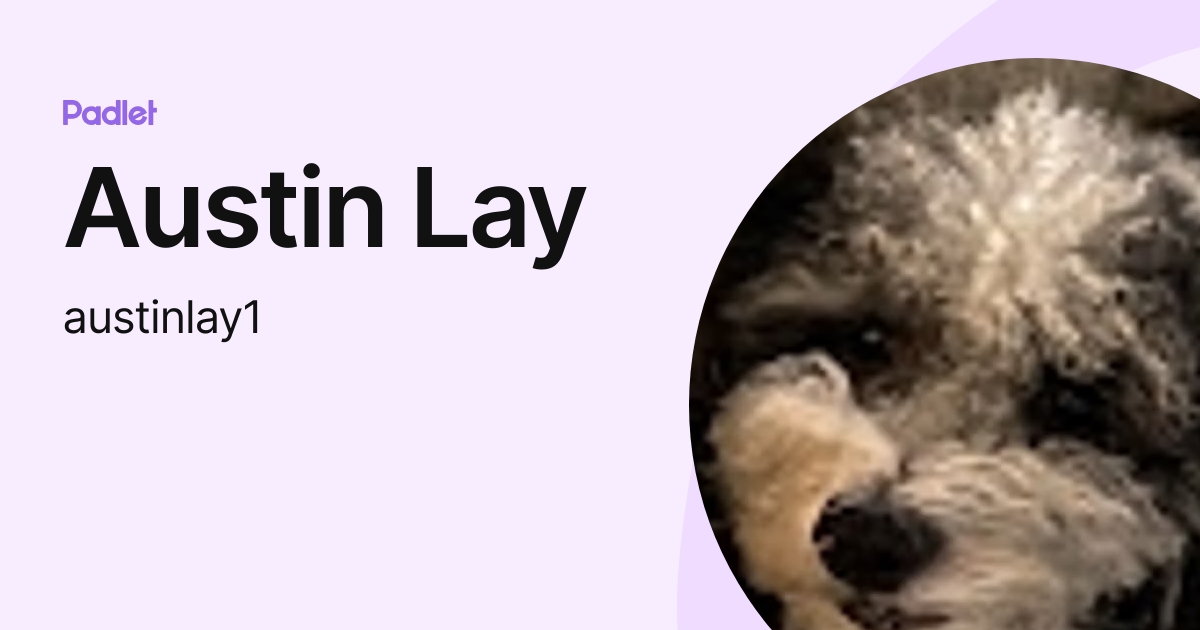 Austin Lay (austinlay1) profile | Padlet