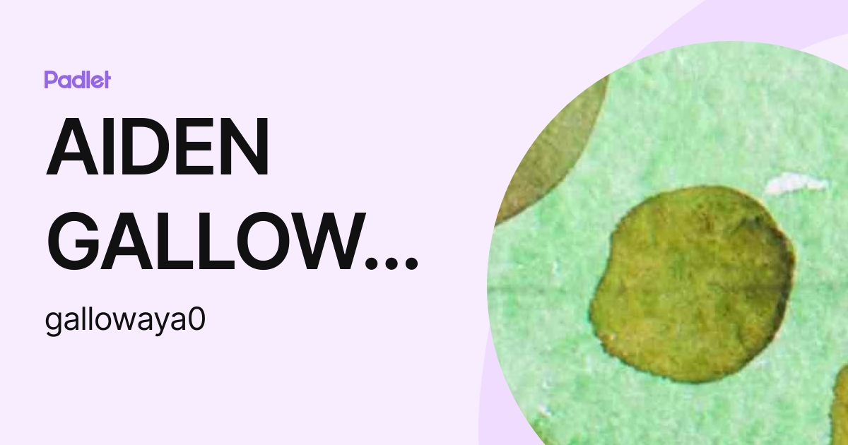 AIDEN GALLOWAY (gallowaya0) profile | Padlet