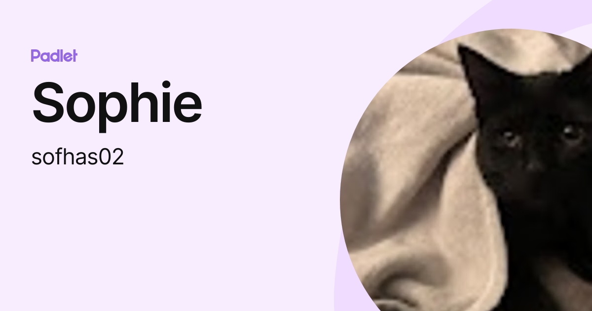 Sophie (sofhas02) profile | Padlet