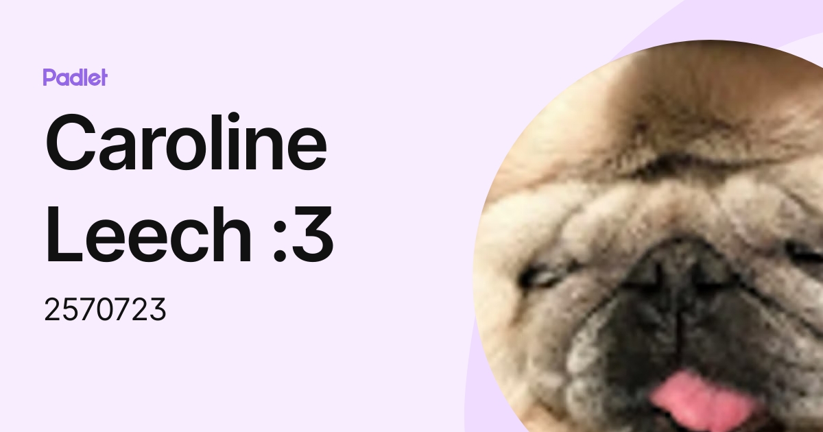 Caroline Leech :3 (2570723) profile | Padlet