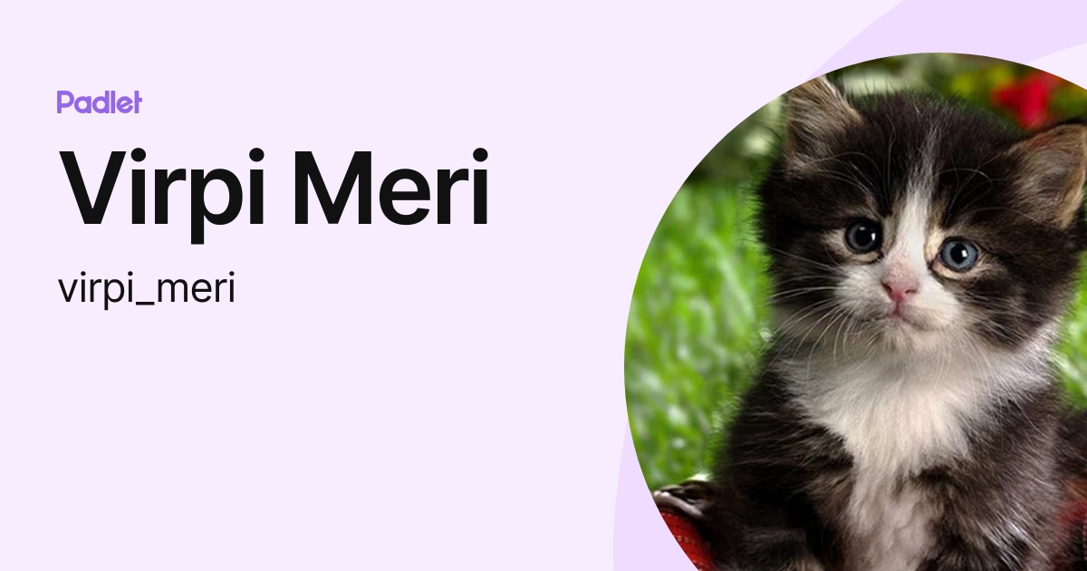 Virpi Meri (virpi_meri) profile | Padlet