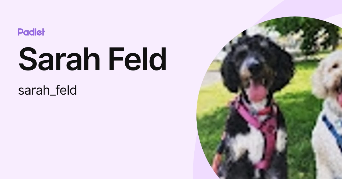 Sarah Feld (sarah_feld) profile | Padlet