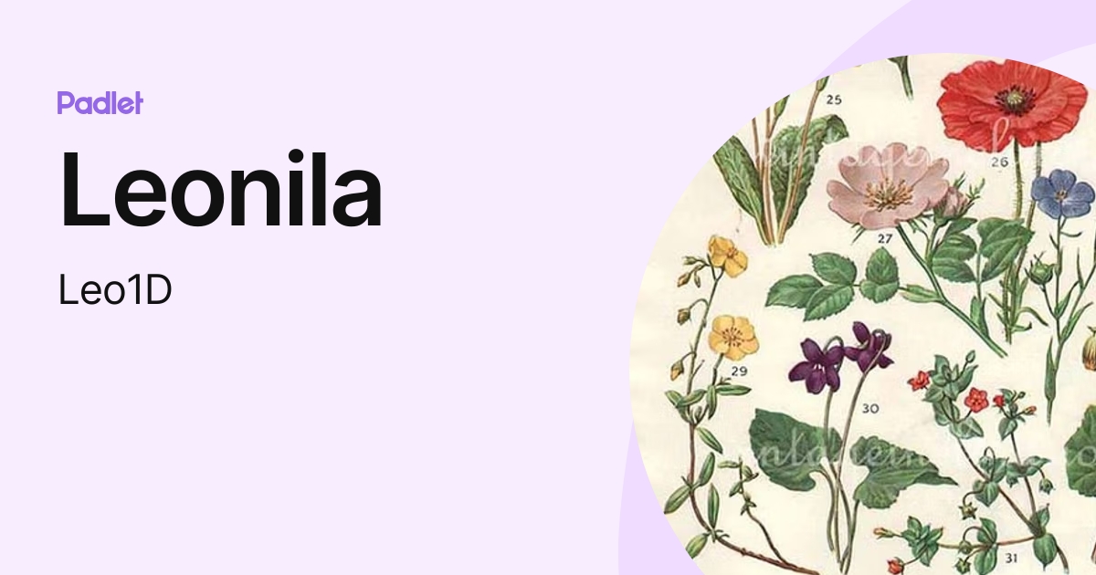 Leonila (Leo1D) profile | Padlet