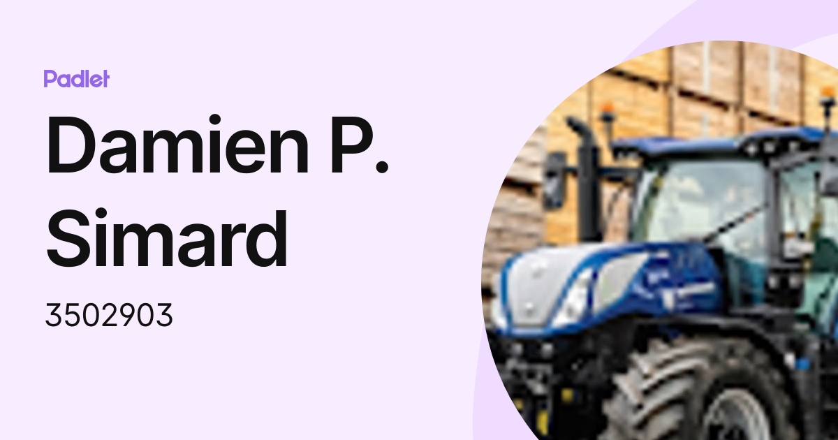 Damien P Simard 3502903 Profile Padlet