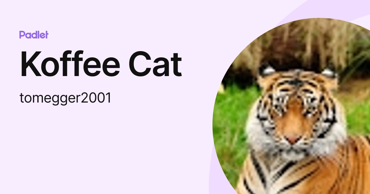 Koffee Cat (tomegger2001) profile | Padlet