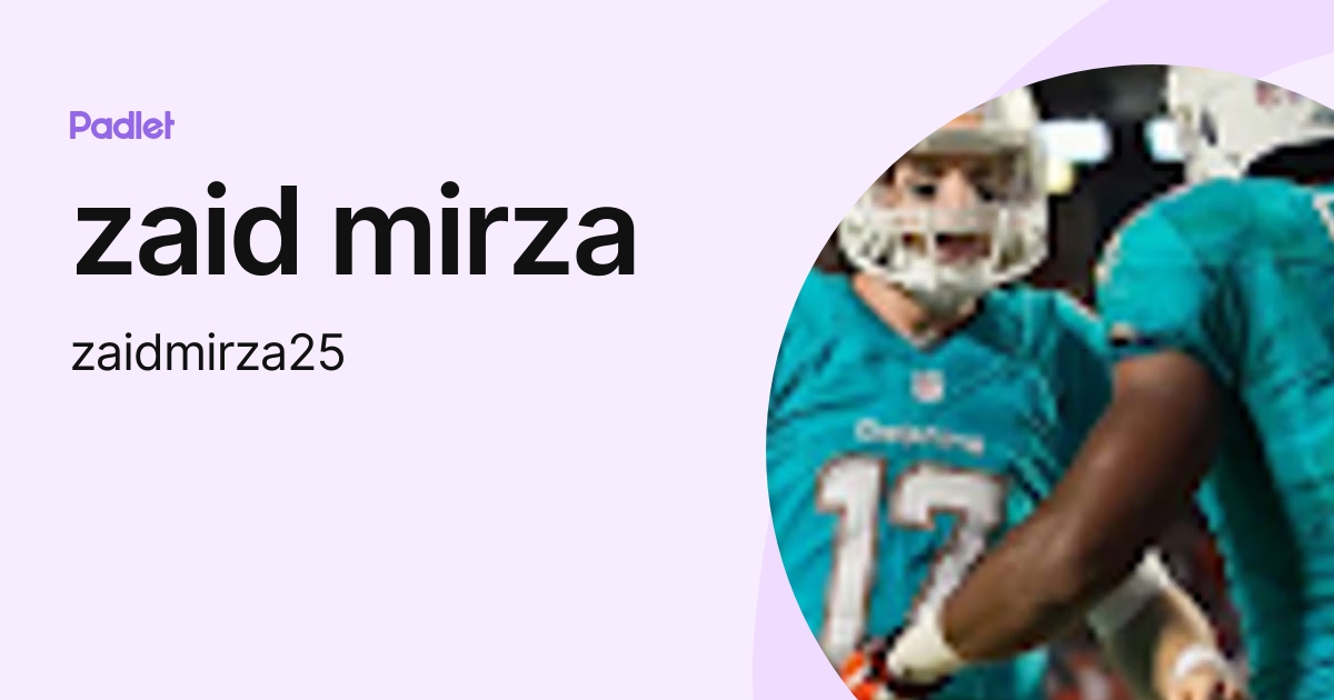zaid mirza (zaidmirza25) profile | Padlet