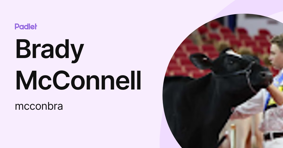 Brady McConnell (mcconbra) profile | Padlet