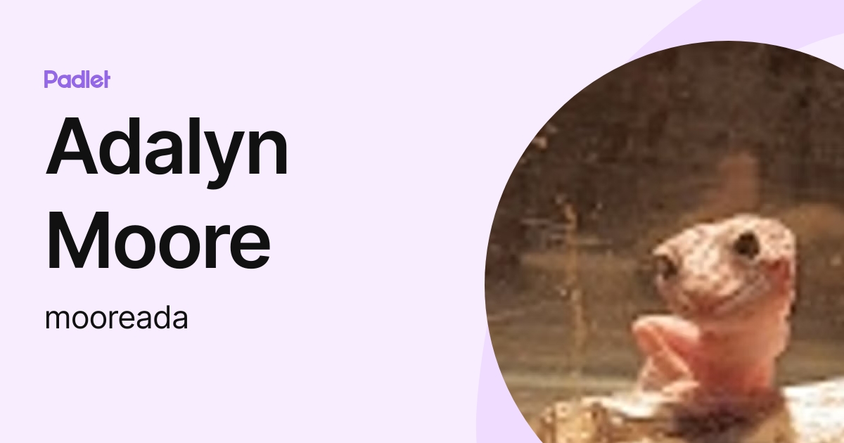 Adalyn Moore (mooreada) profile | Padlet