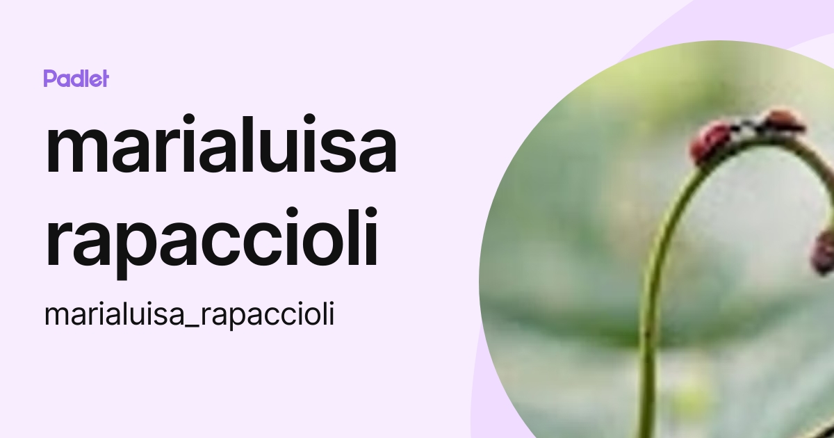 marialuisa rapaccioli (marialuisa_rapaccioli) profile | Padlet