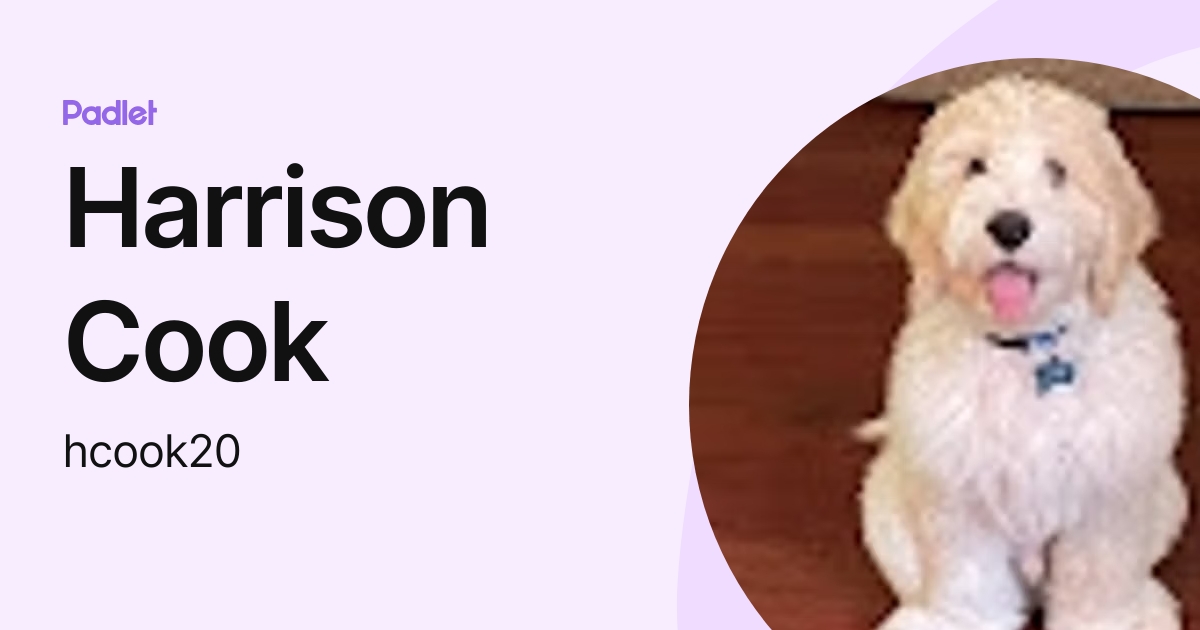 Harrison Cook (hcook20) profile | Padlet