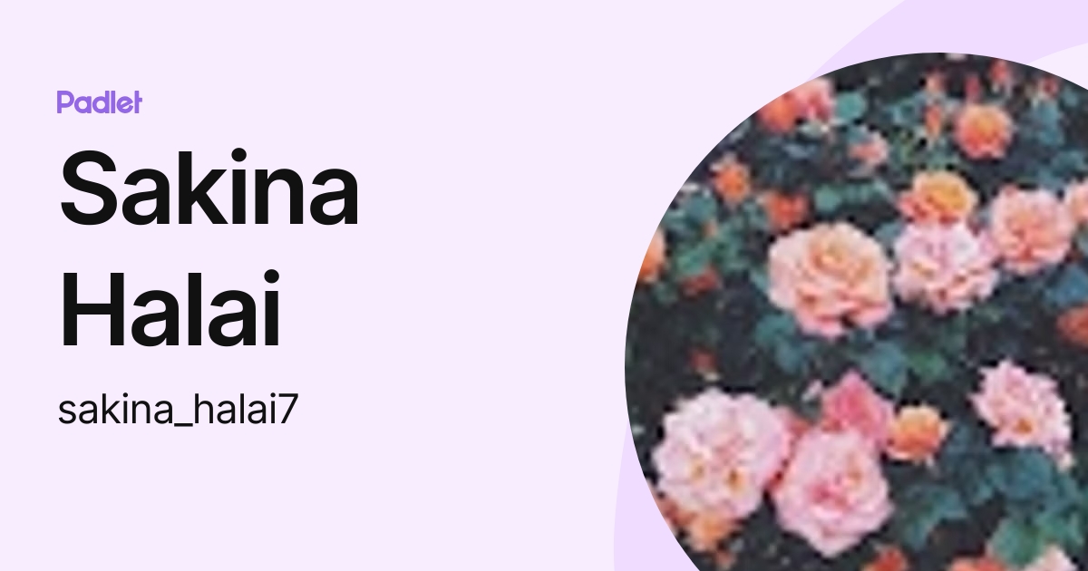 Sakina Halai (sakina_halai7) profile | Padlet