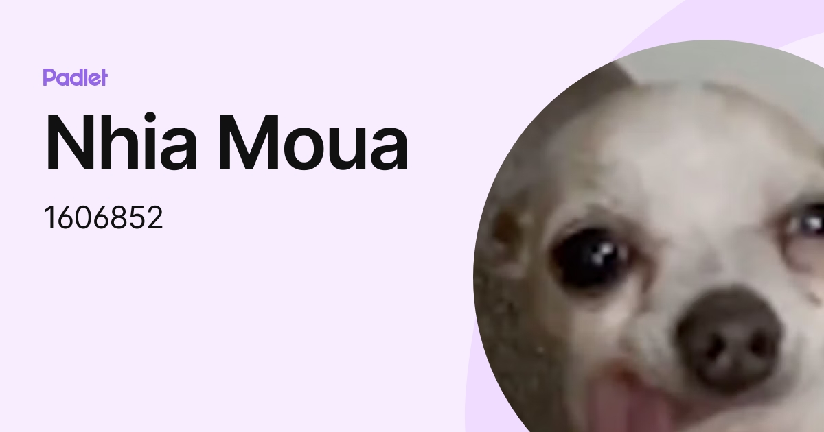 Nhia Moua (1606852) profile | Padlet