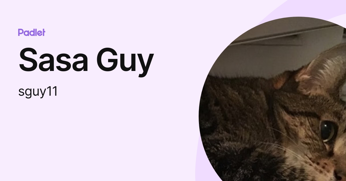 Sasa Guy (sguy11) profile | Padlet