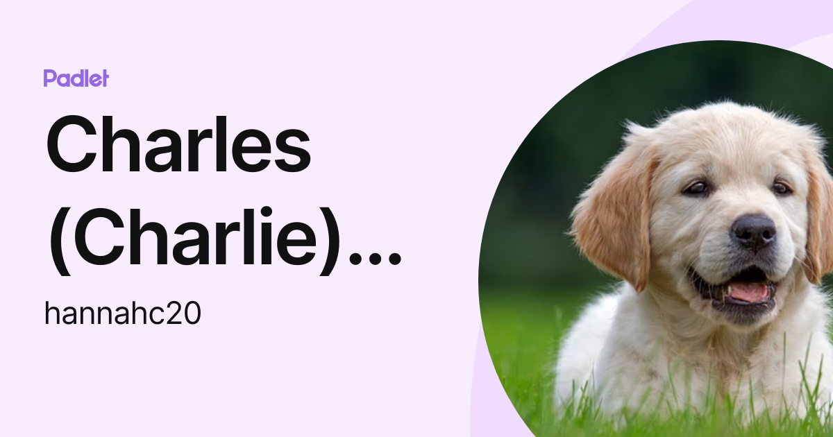 Charles (Charlie) Hannah [Pupil] (hannahc20) profile | Padlet