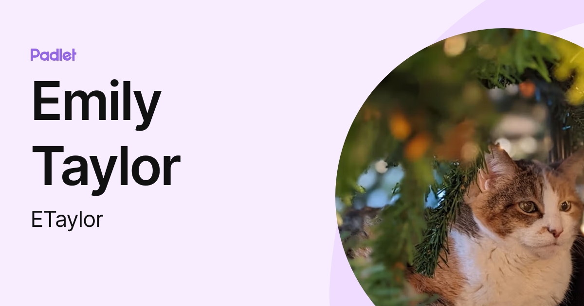 Emily Taylor (ETaylor) profile | Padlet