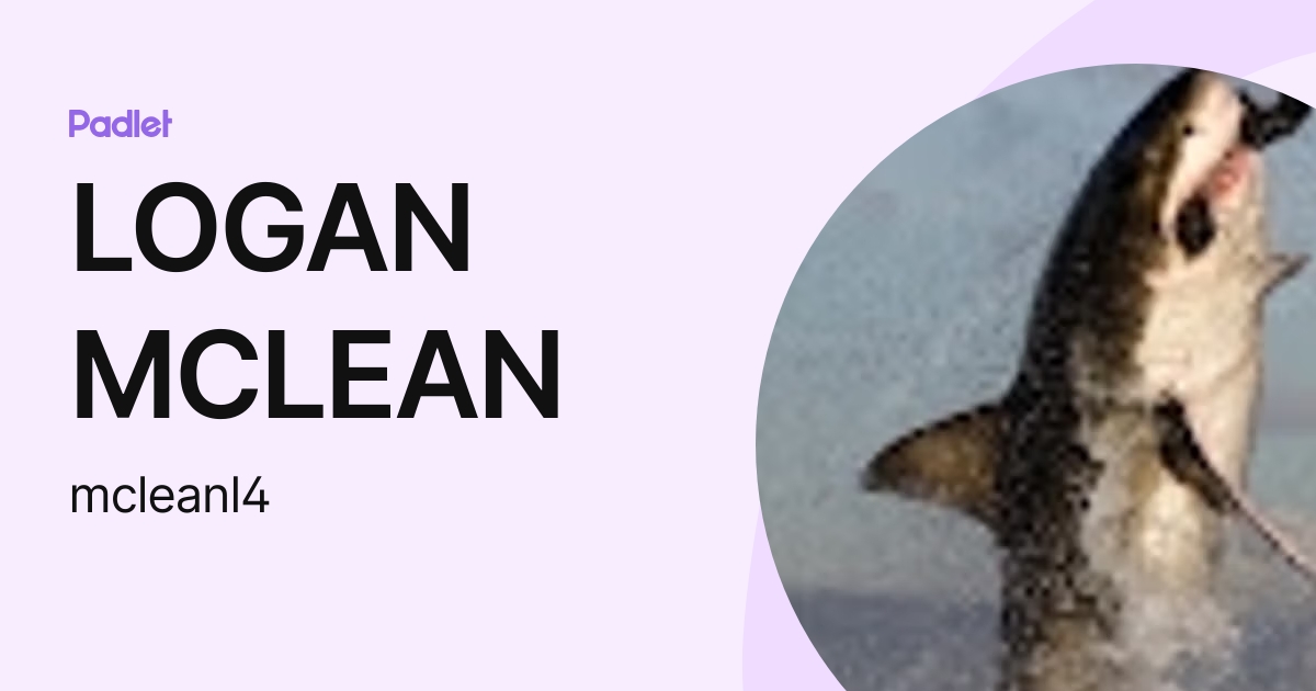 LOGAN MCLEAN (mcleanl4) profile | Padlet