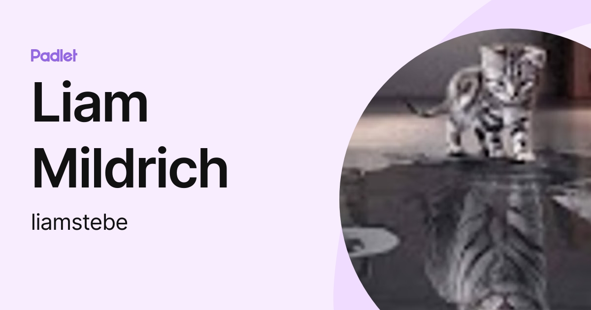 Liam Mildrich (liamstebe) profile | Padlet