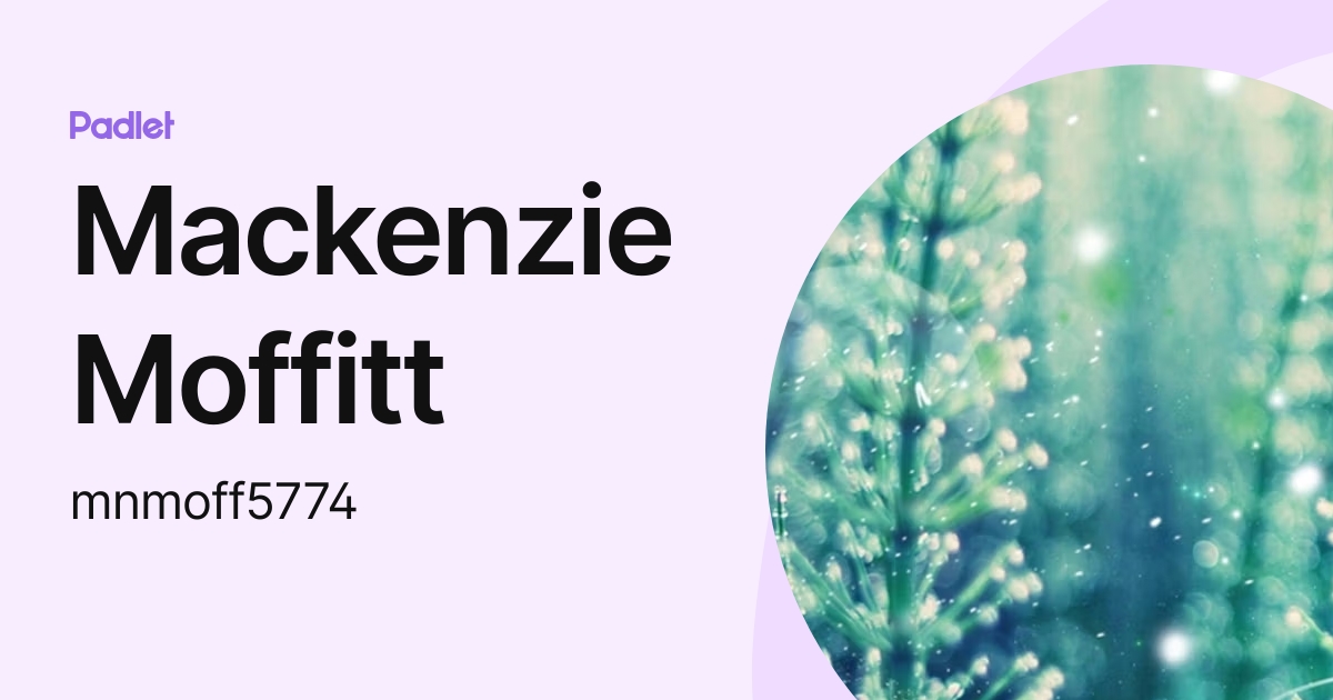 Mackenzie Moffitt (mnmoff5774) profile | Padlet