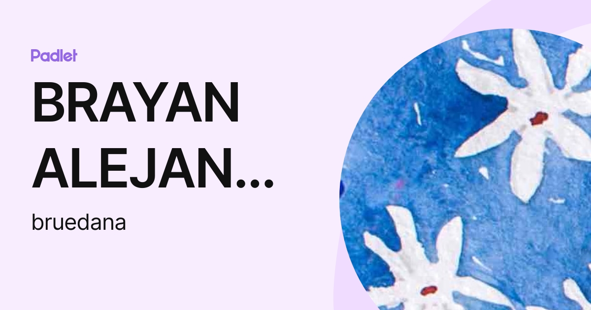 BRAYAN ALEJANDRO RUEDA NARVAEZ (bruedana) profile | Padlet