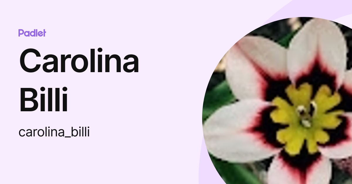 Carolina Billi (carolina_billi) profile | Padlet