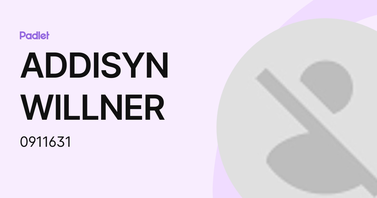 ADDISYN WILLNER (0911631) profile | Padlet