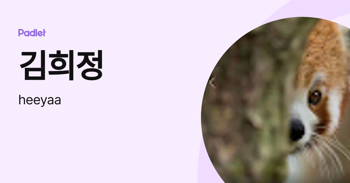 김희정 (heeyaa) profile | Padlet