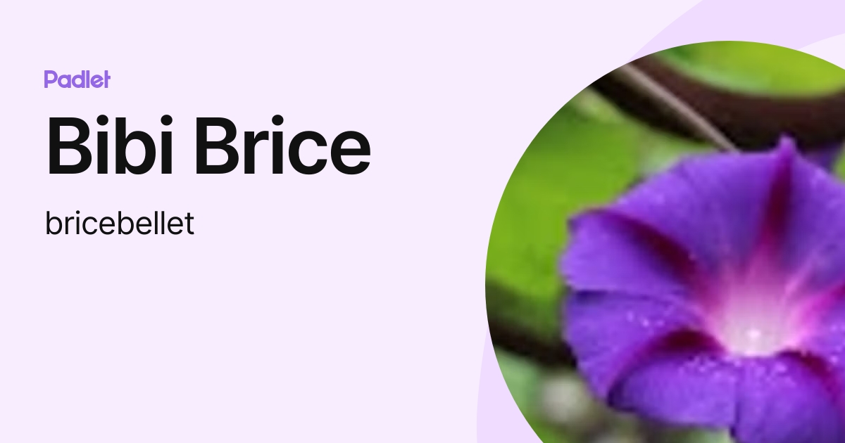 Profil de Bibi Brice (bricebellet) | Padlet
