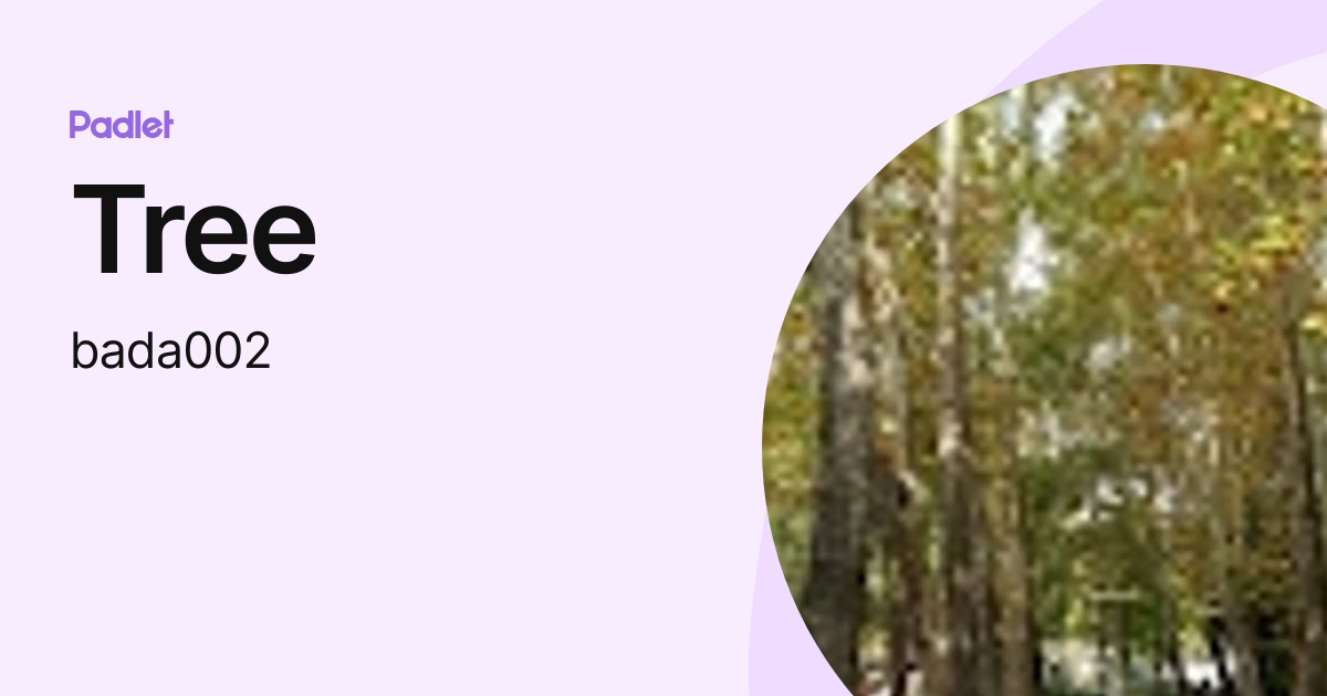 Tree (bada002) profile | Padlet