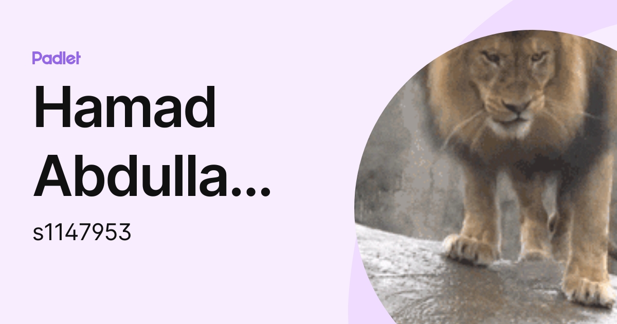 Hamad Abdulla Khalfan Rashed Alshamsi (s1147953) profile | Padlet