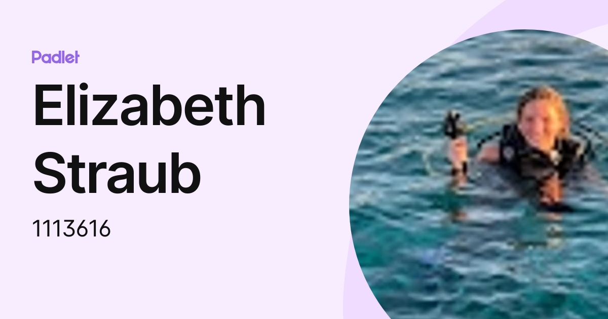 Elizabeth Straub (1113616) profile | Padlet