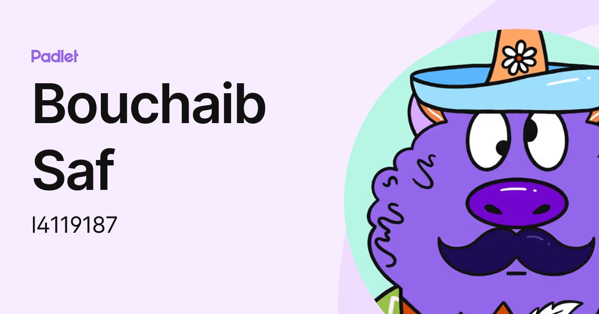 Bouchaib Saf (l4119187) profile | Padlet