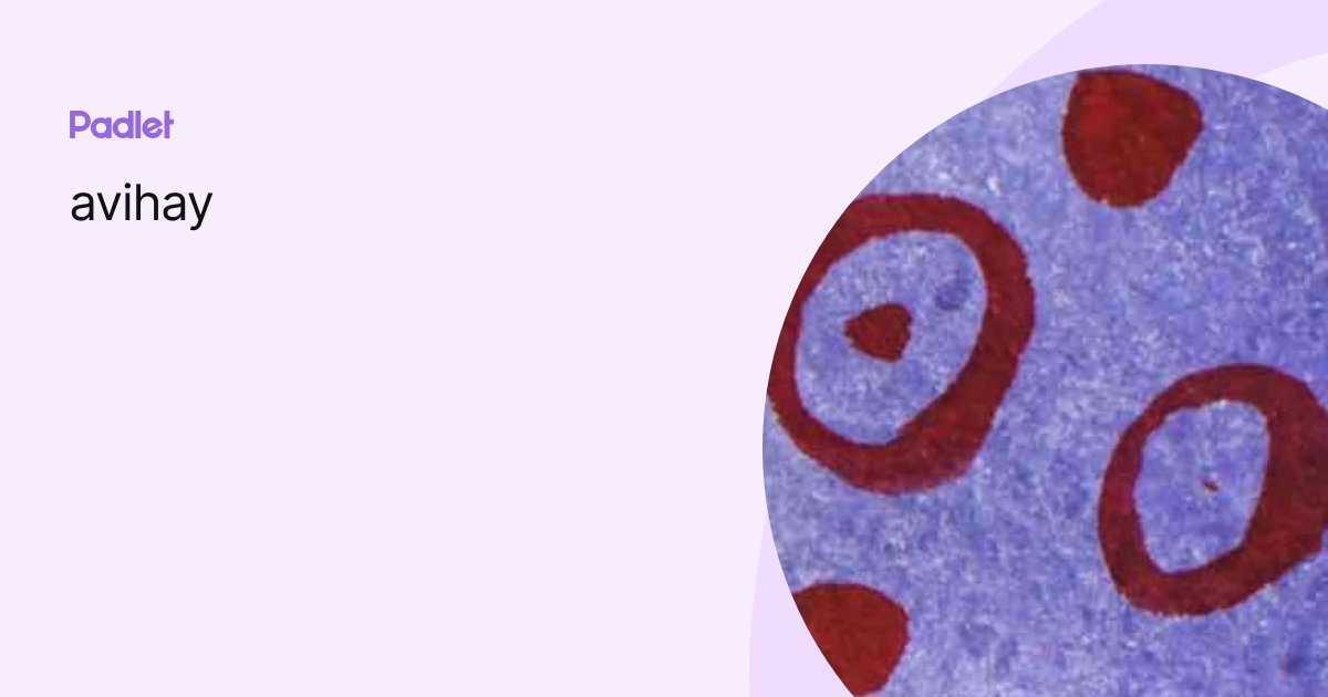 avihay profile | Padlet