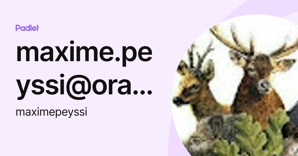 maxime.peyssi@orange.fr (maximepeyssi) profile | Padlet