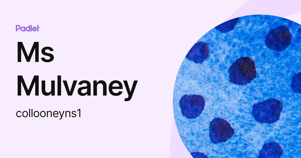 Ms Mulvaney (collooneyns1) profile | Padlet