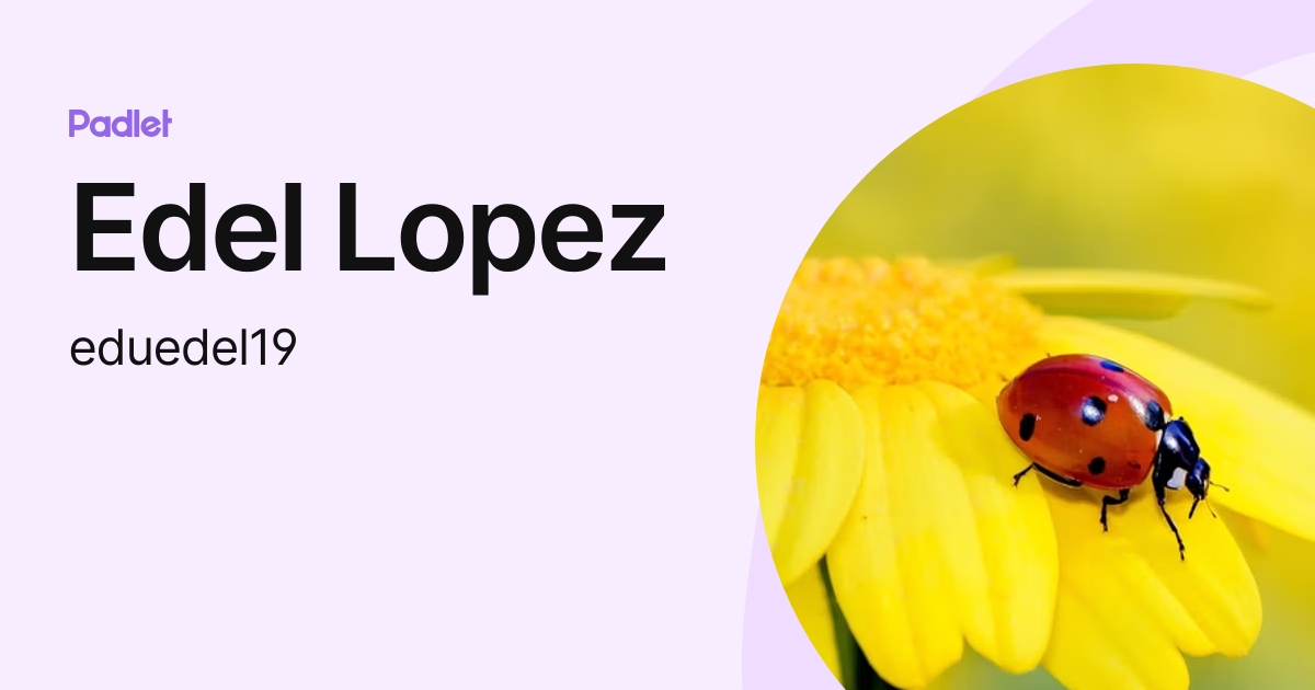 Edel Lopez (eduedel19) profile | Padlet