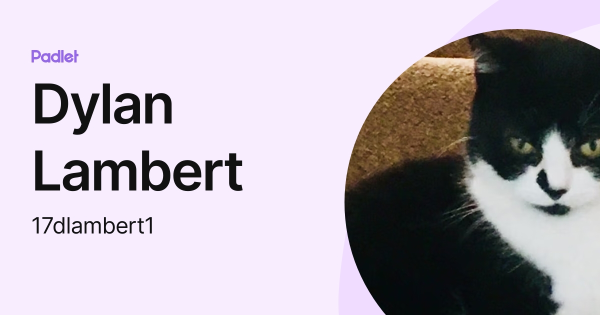 Dylan Lambert (17dlambert1) profile | Padlet