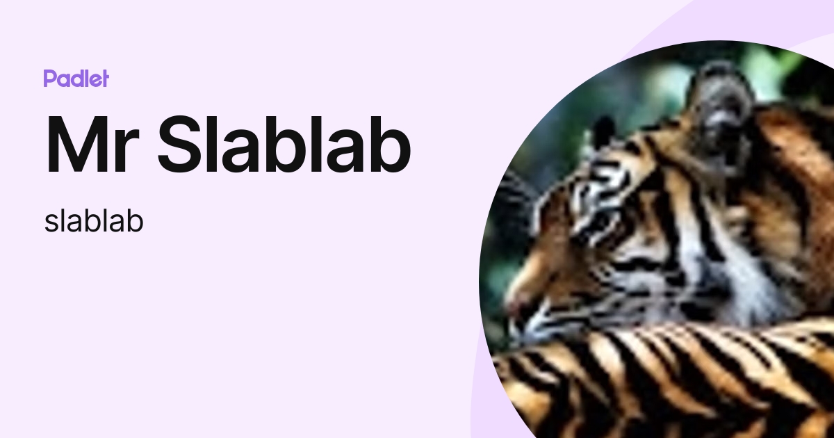 Mr Slablab (slablab) profile | Padlet